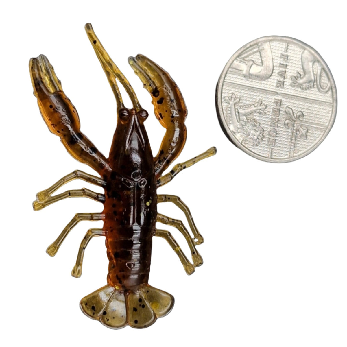 Baby Crawfish | Ocean Tackle Store | Shetland's Sea Fishing Experts