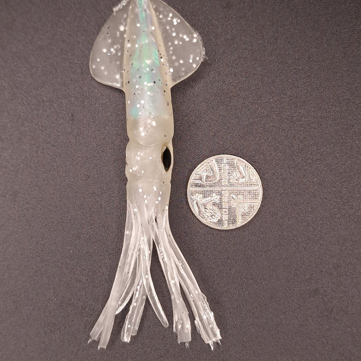 The Real Squid | Ocean Tackle Store | Shetland's Sea Fishing Experts
